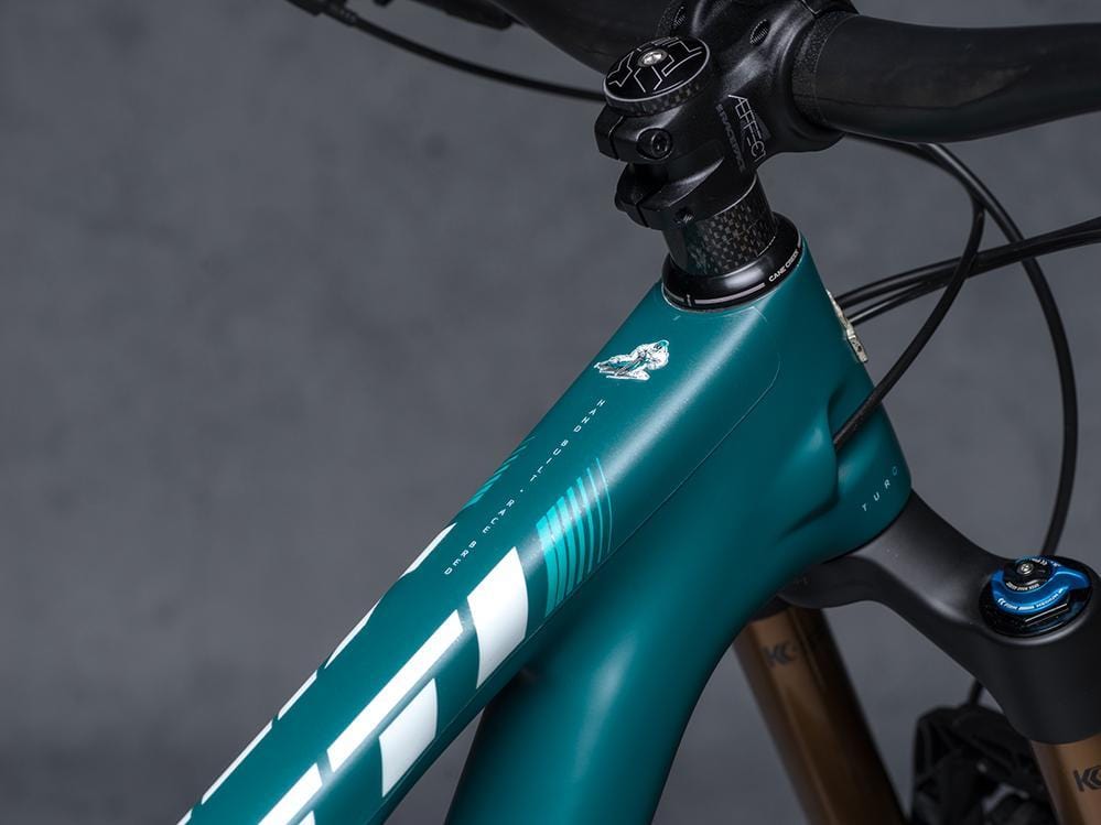 Clear Matte MTB Frame Protector | DyedBro – Dyedbro