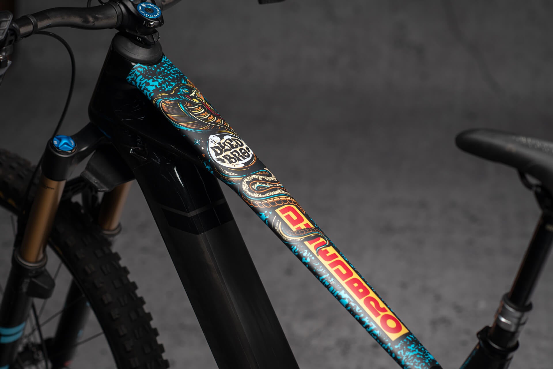 RRR Frame Protector for E-Bike | DyedBro – Dyedbro