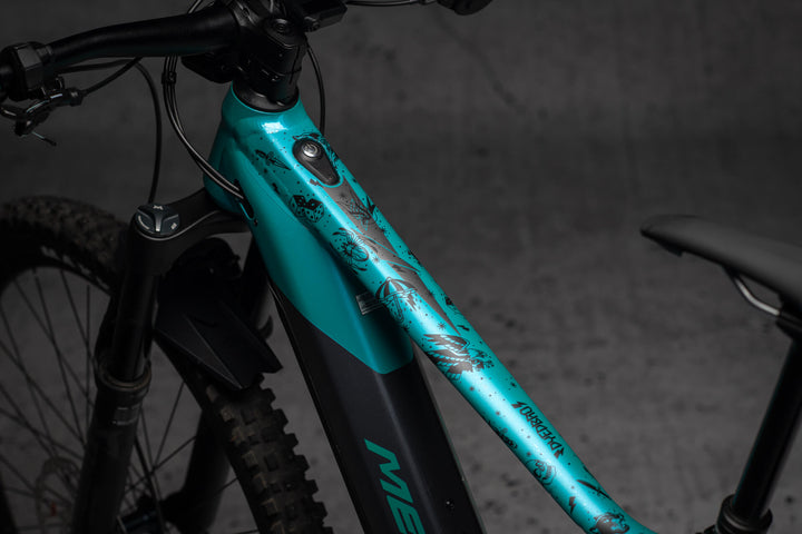 E-Bike Frame Protection – Dyedbro